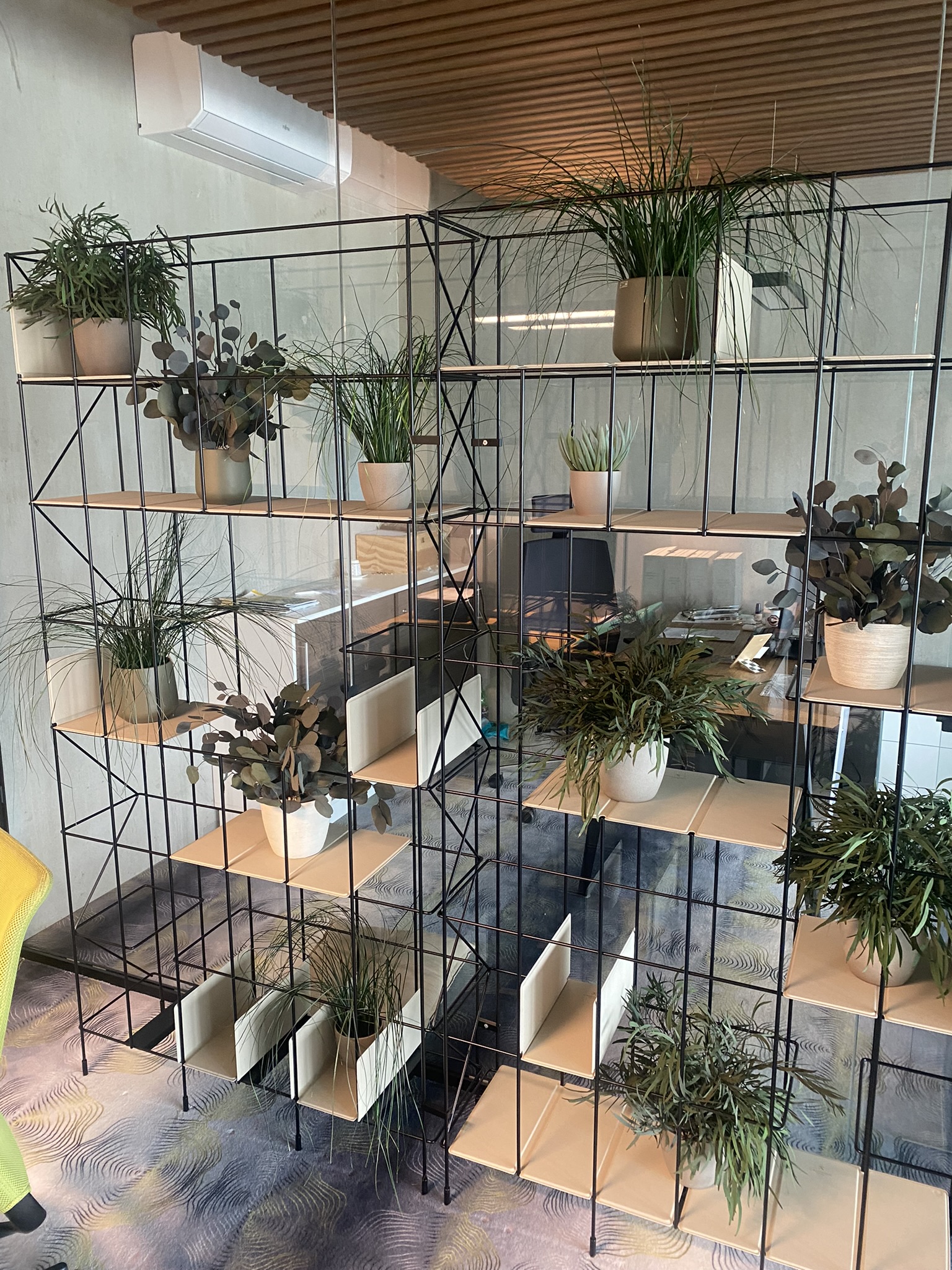 DF27DAFC-5FDA-4B1F-8BFA-9284D516306C – Forgreenerlife.com