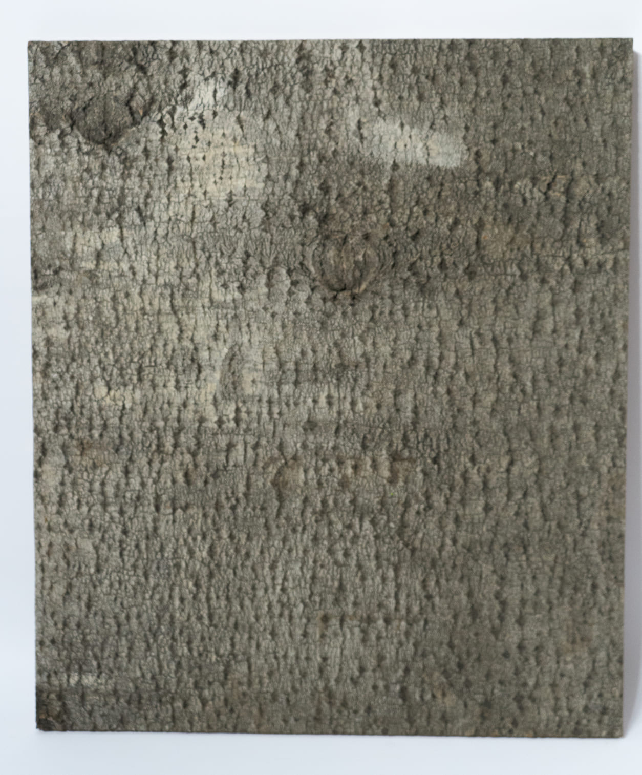 Haavapuukoorepaneel aspen bark panel – Forgreenerlife.com